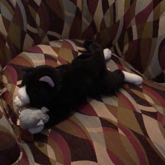 Dakin | Toys | Vintage Dakin Applause Meowing Plush Catpuppet Holding ...